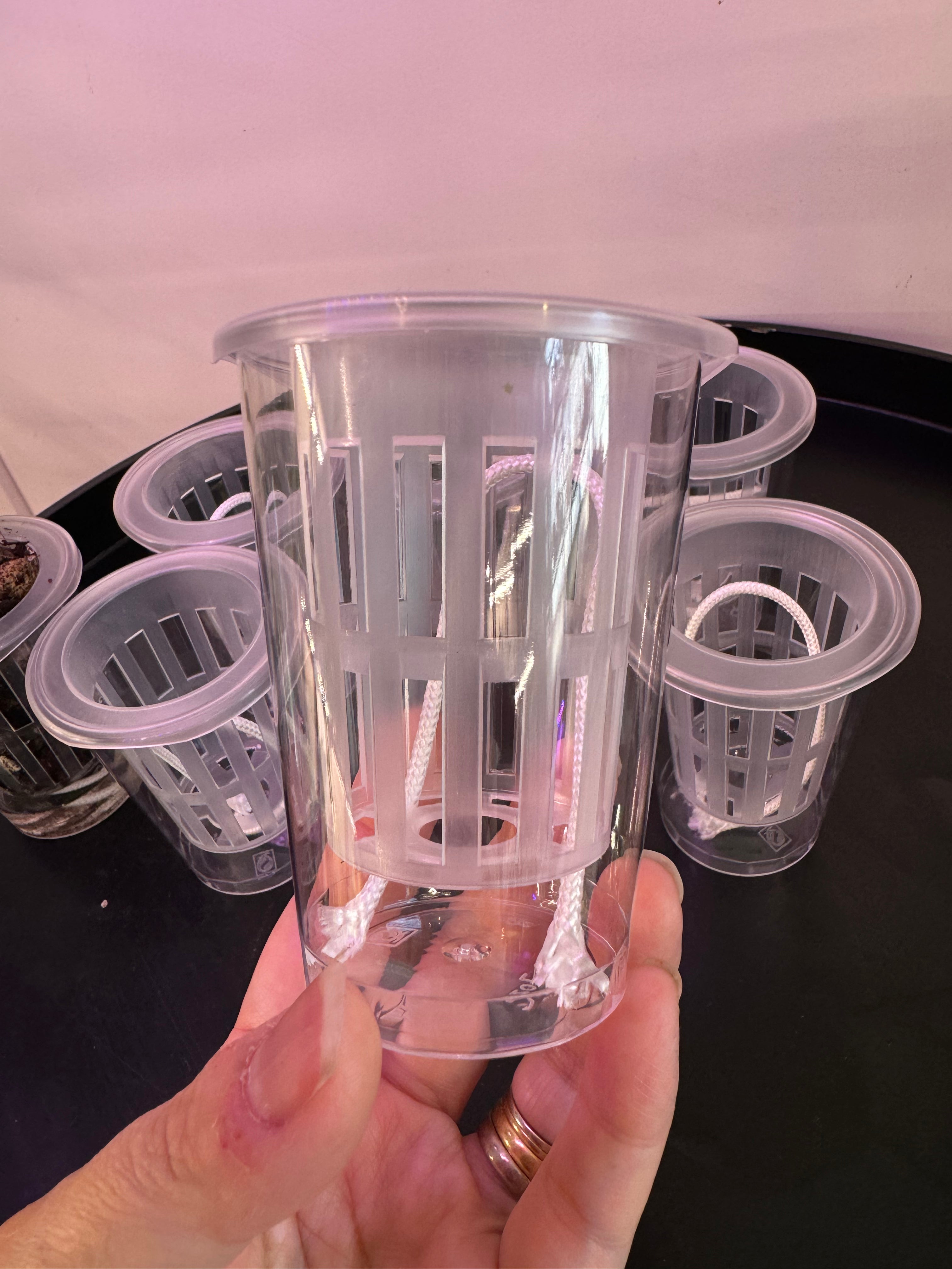 6pack clear double pot semi hydroponic net pots – Just plants & gifts